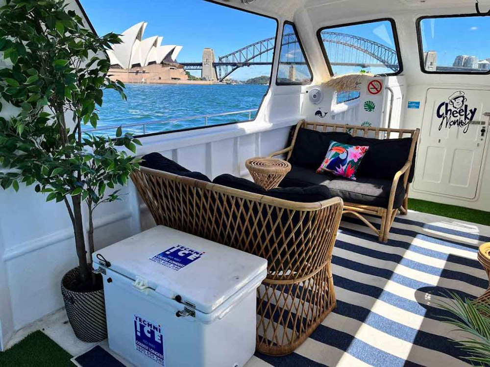 Cheeky Monkey - Get Loose